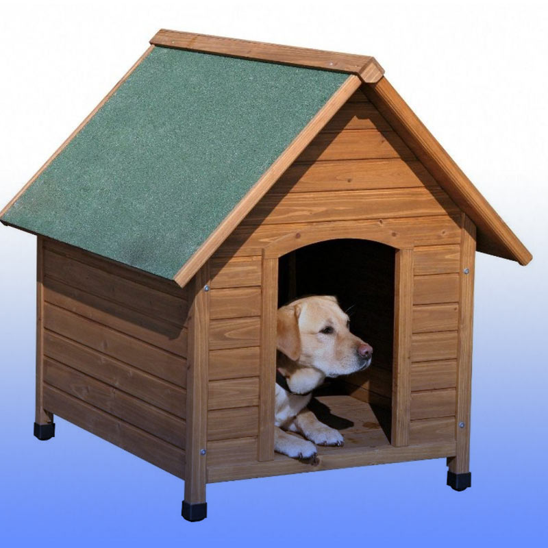 مناسب ترین لانه برای سگ ها | پت شاپ آنلاین پت آباد