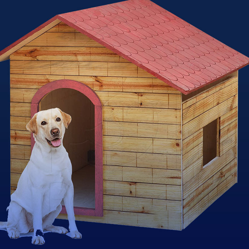 راهنمای خرید خانه سگ | پت شاپ آنلاین پت آباد